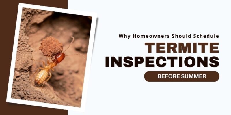 Why Homeowners Should Schedule Termite Inspections Before Summer - Rafa ...